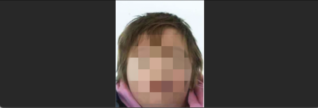 Disparition de Maya à Charleroi : le suspect relâché