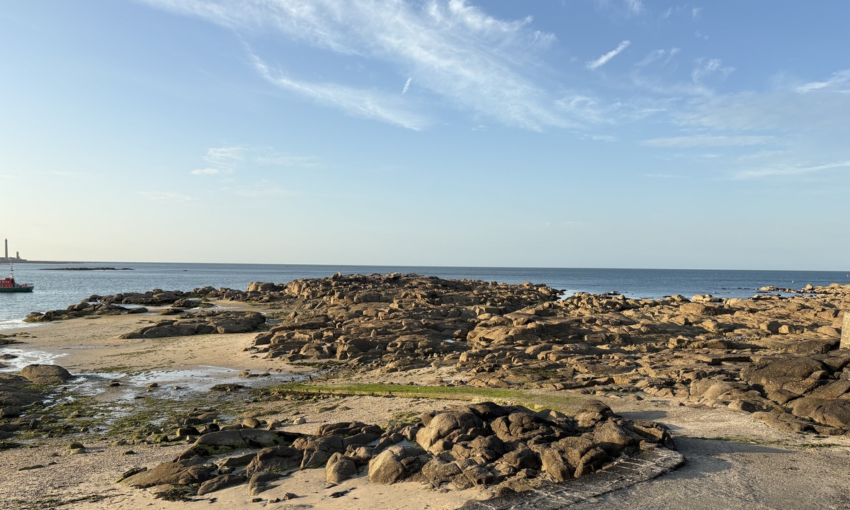 Meurtre de Luana Brito Pereira à Barfleur : le suspect explique avoir eu « le désir de tuer une ...