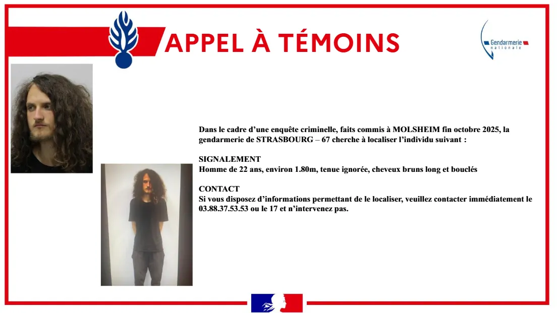Matricide à Molsheim : un mois après, le suspect Andrei toujours recherché